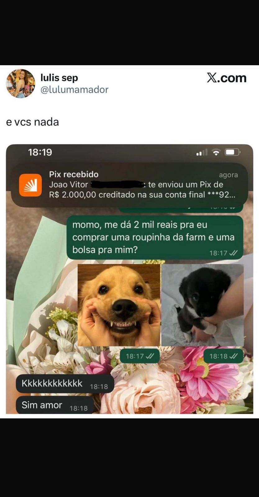 Memes do vovô - Perrengue Mato Grosso