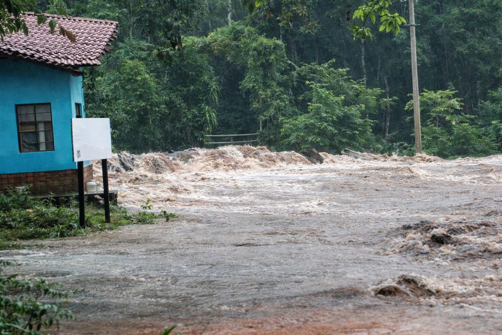 Fortes chuvas fazem rio transbordar e água alcança ponte em área rural ...